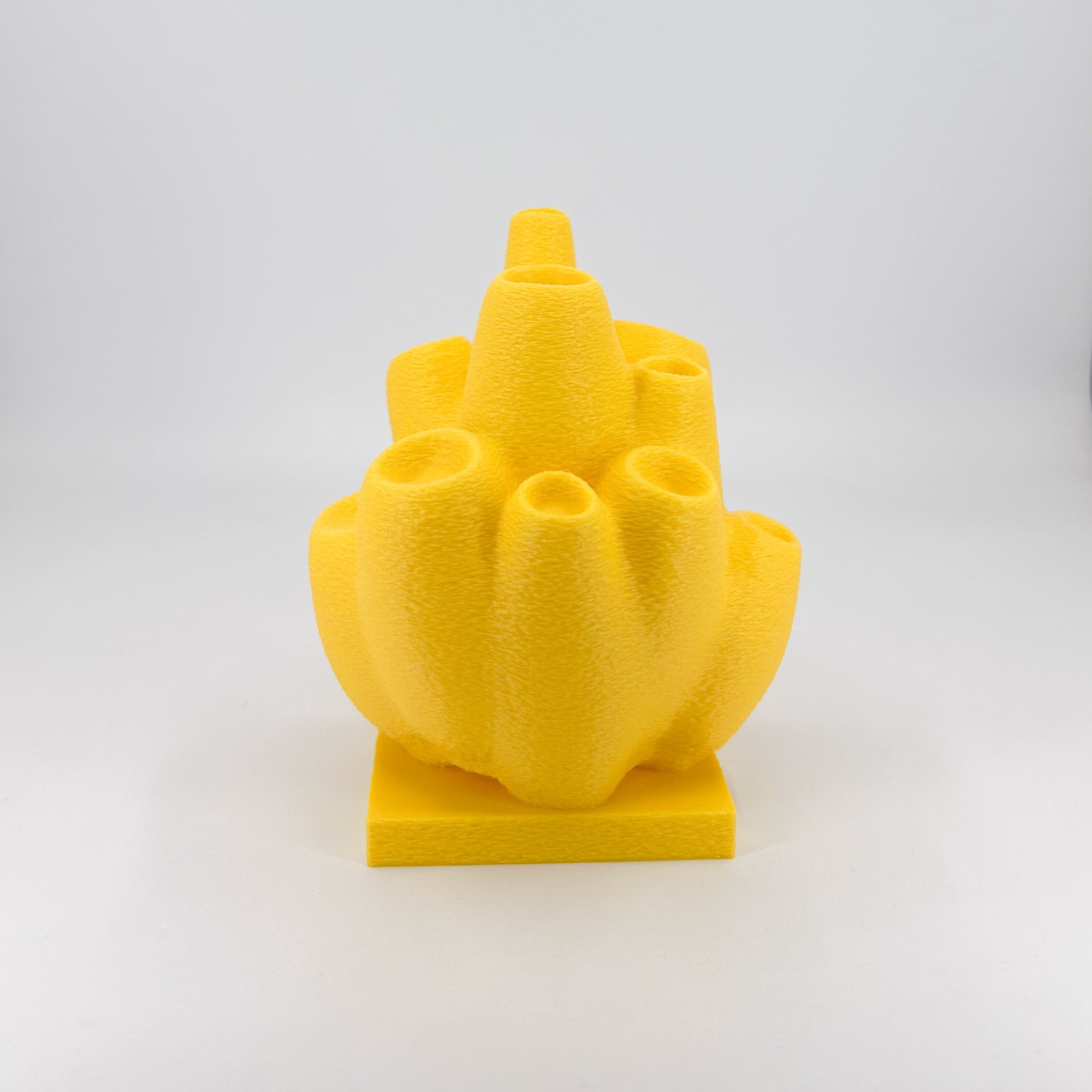 Sea Sponge – 3D FORGE