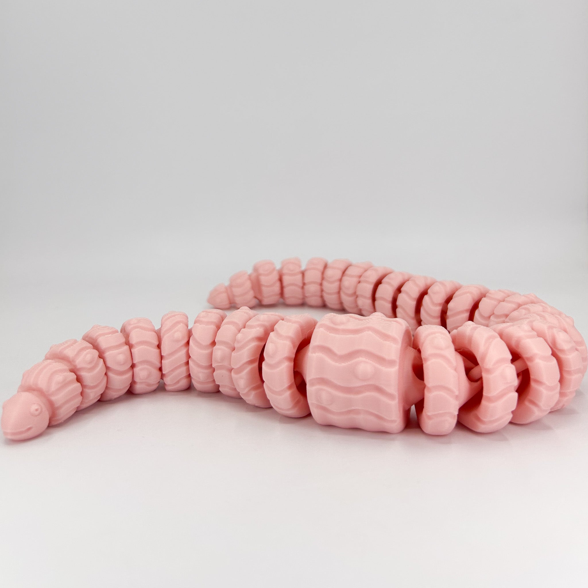 Worm – 3D FORGE